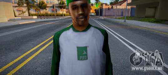 New GSF Member v14 für GTA San Andreas